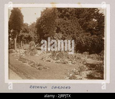 Ratanui, circa 1905, Lower Hutt, maker unknown Stock Photo - Alamy