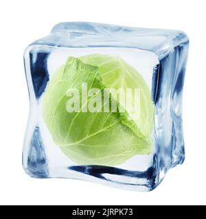 Cabbage isolated on transparent background Stock Photo - Alamy