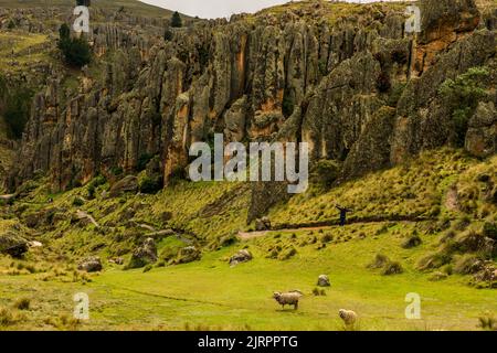 A scenic shot of the Stone Forest Cumbemayo with an overcast sky in ...