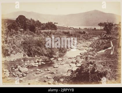 Akaroa. From the album: Scenes of New Zealand, circa 1880, Banks ...