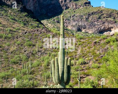 Picacho Peak is a distinctive landmark located halfway between Phoenix ...