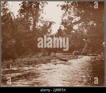 Our ride up the Ohau Valley to see the North Block. August 3, 1913 ...