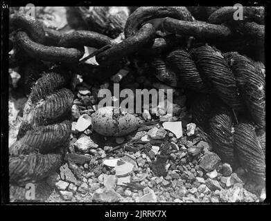 Untitled, New Zealand, by Sir Robert Falla Stock Photo - Alamy