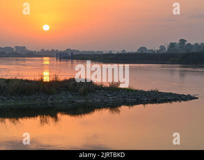 Lebus, Germany. 26th Aug, 2022. Empty mussel shells lie on the bank at ...