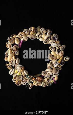 Textured Limestone Sea Shells on a Black Background Stock Photo - Alamy