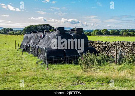 Big bale crow protection by farmer using netting Stock Photo - Alamy