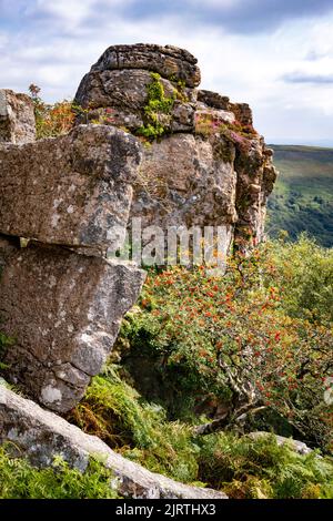 Spectacular peaks of granite on Bench Tor, Dartmoor National Park ...
