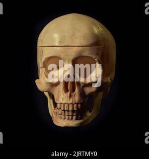 Damaged Dirty and bloody skull head on black background isolated Stock ...