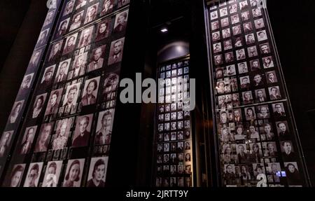 Polish Victims Portraits in the Museum of the Second World War Stock ...