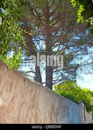 The town of Saint-Chinian in the Languedoc-Rousillon region of southern ...