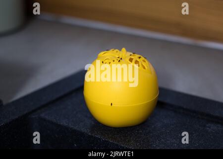 Reusable apple shaped fruit fly trap filled with liquid Stock Photo - Alamy