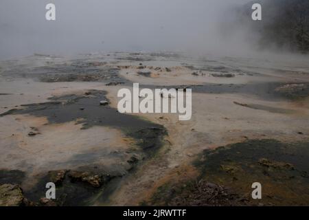 Sempaya Hot Springs are the most outstanding attractions in Semiliki ...