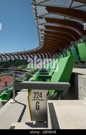 VIP seating for everyone at the World Athletics Championships, Hayward ...