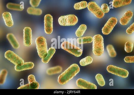 Enterobacter bacteria, illustration Stock Photo - Alamy
