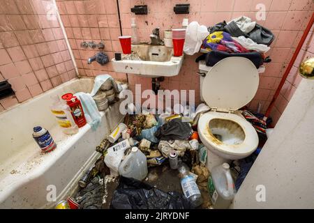 A filthy apartment bathroom inside a hoarder's apartment. This building ...