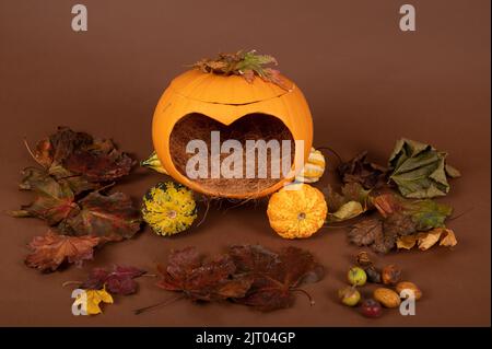 Newborn photography background/backdrop Cinderella pumpkin carriage ...