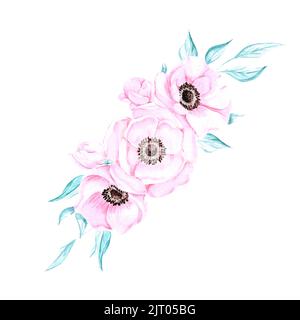 Handdrawn anemone composition. Watercolor wind flower on the white ...