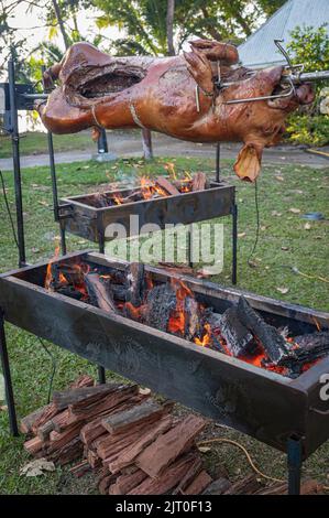 Whole pig roasting at open fire Stock Photo - Alamy