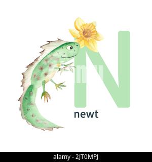 Letter D uppercase cute children colorful zoo and animals ABC alphabet ...