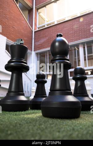 Vertical shot of chess pawns on the board on a blurred background Stock ...