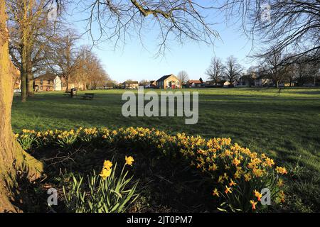 View of Coates village, Cambridgeshire, England, UK Stock Photo - Alamy