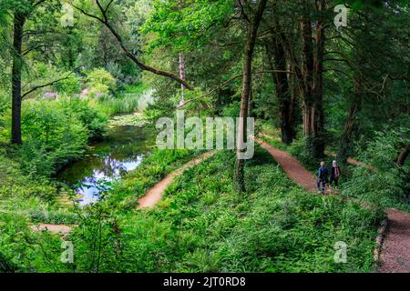 The attractive woodland Marl Pit and lake in the restored 'The Newt in ...