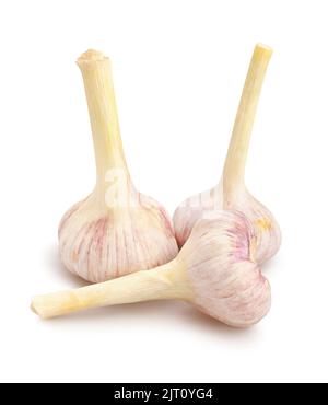 Fresh garlic isolated on white background Stock Photo - Alamy