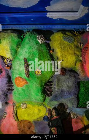 Fish seen in an aquarium at the Radiant Fish World in Cox's Bazar ...