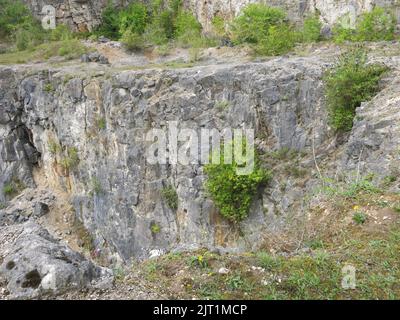 Set within former limestone quarries on the edge of the Peak District ...