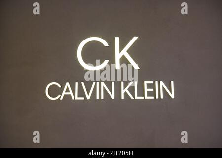 SINGAPORE - CIRCA JANUARY, 2020: close up shot of guardian lion at Nge ...