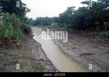 Sylhet, Sylhet, Bangladesh. 27th Aug, 2022. Farmers are harvesting ...