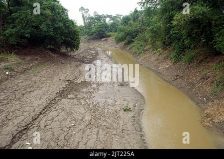 Sylhet, Sylhet, Bangladesh. 27th Aug, 2022. Farmers are harvesting ...