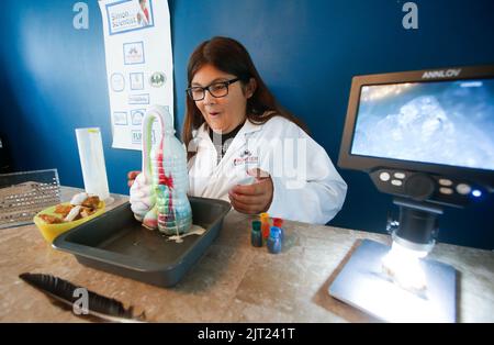 Simon Monteith, aka Simon The Scientist, prepares the ‚ÄúElephant ...