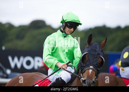 Jason Hart on Jm Jungle at York Races Stock Photo - Alamy