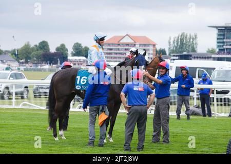 Jockey Jim Crowley on Revich at York Races Stock Photo - Alamy