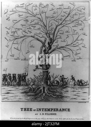 Tree of intemperance Stock Photo - Alamy
