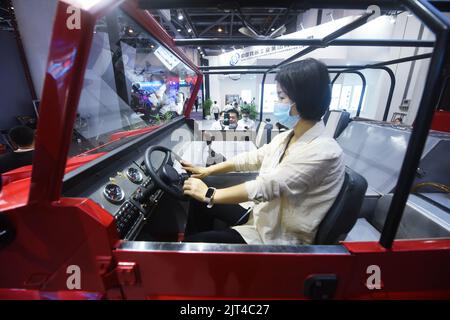 HANGZHOU, CHINA - AUGUST 28, 2022 - Visitors experience a python ...