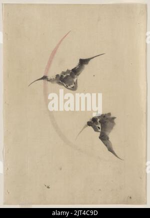 Two bats flying Stock Photo - Alamy