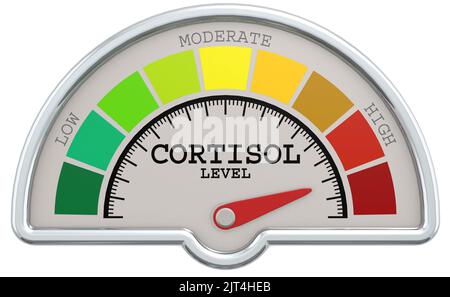 Metabolism level measuring scale with color indicator, 3d rendering Stock Photo - Alamy