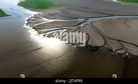 NANCHANG, CHINA - AUGUST 26, 2022 - An aerial photo shows a tree-shaped ...