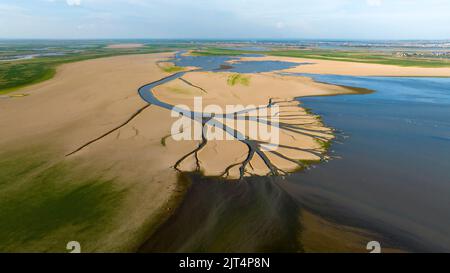 NANCHANG, CHINA - AUGUST 26, 2022 - An aerial photo shows a tree-shaped ...