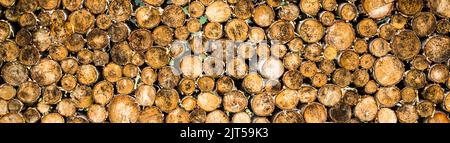 Round teak wood stump. Round teak woods trees circle stumps cutted ...