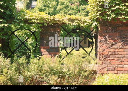 Elaborate brick and metal fence in an overgrown courtyard in a black ...