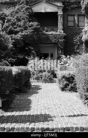 Beautiful overgrown summer courtyard with lots of ivy plants covering ...
