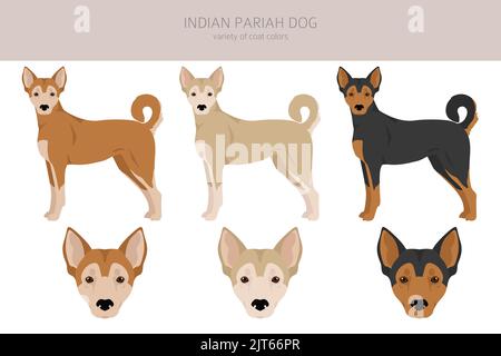 Indian Pariah dog clipart. Different poses, coat colors set. Vector ...