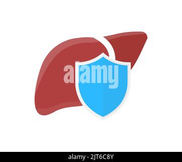 Human liver under protection. Blue shield and healthy liver in cartoon ...