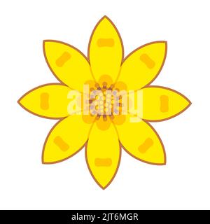 Adey abeba Ethiopian flower, symbol of Enkutatash (Ethiopian New Year ...