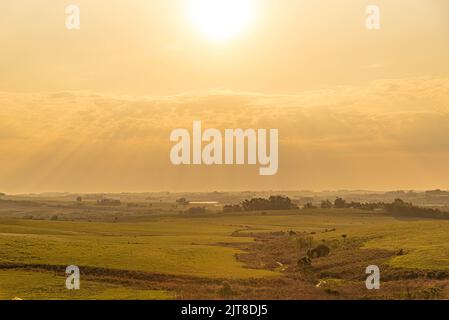 Dawn in the fields of the pampa biome in southern Brazil. Temperate ...