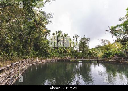 The Bano Grande swimming pool, fed by a stream, in the El Yunque ...