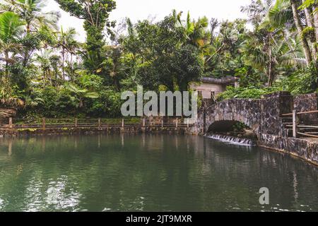 The Bano Grande swimming pool, fed by a stream, in the El Yunque ...